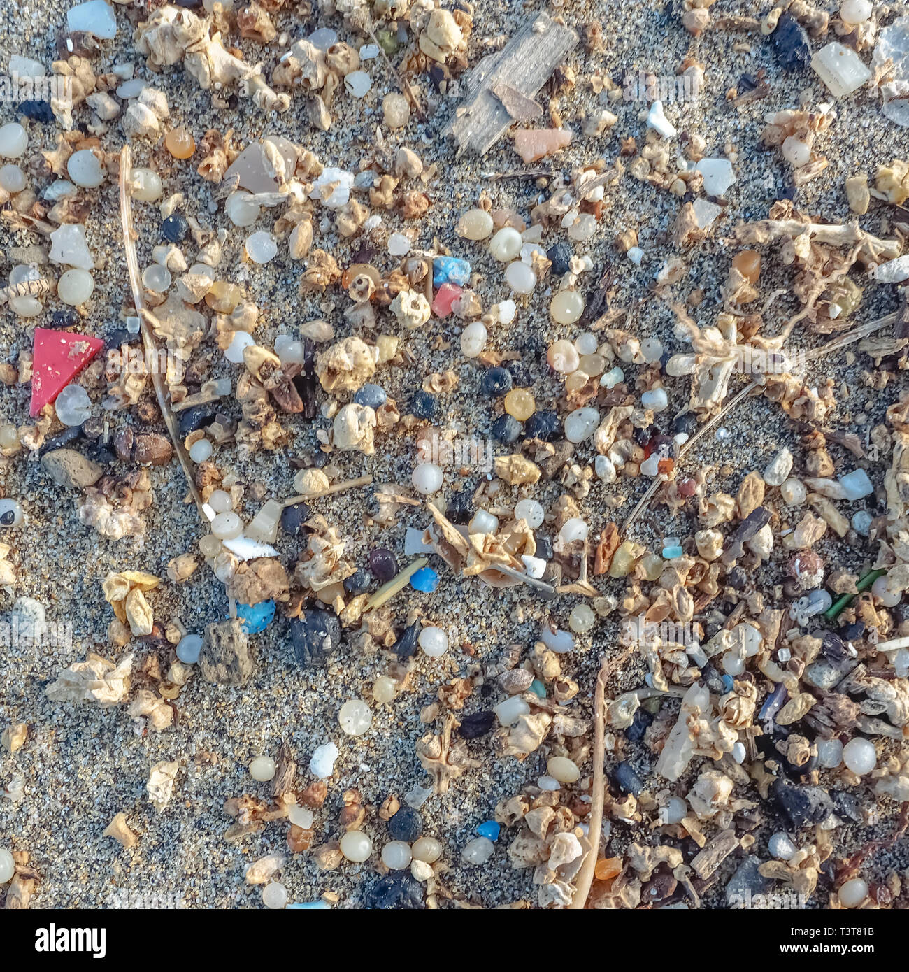 Microplastics hi-res stock photography and images - Alamy