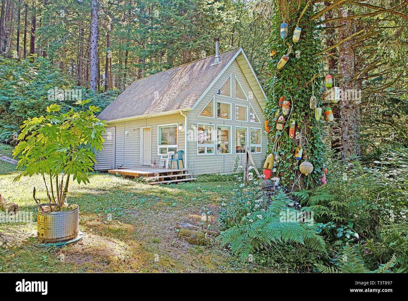 Modern house in remote forest Stock Photo - Alamy