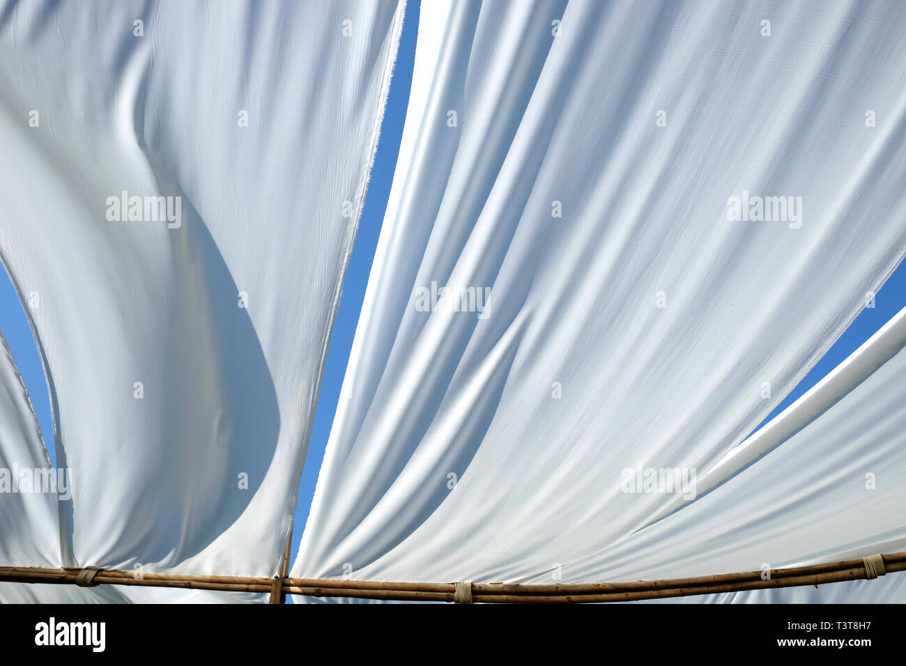 white white fabric texture wind blowing background, texture of flying ...