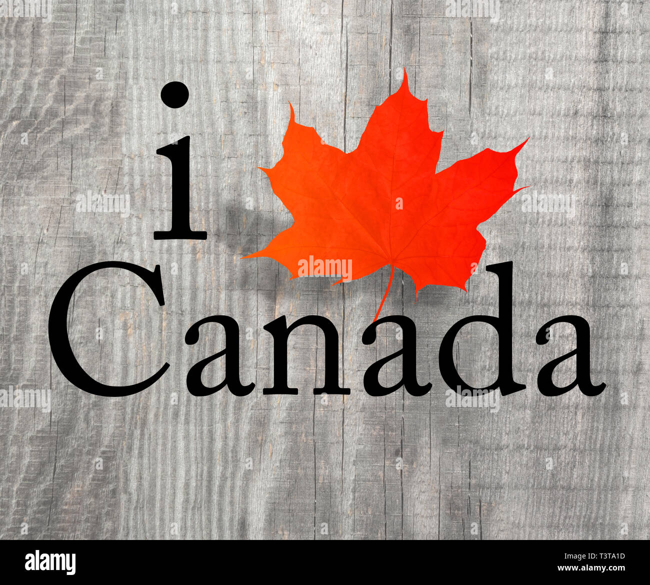 Canada logo with maple leaf. I Love Canada Stock Photo - Alamy