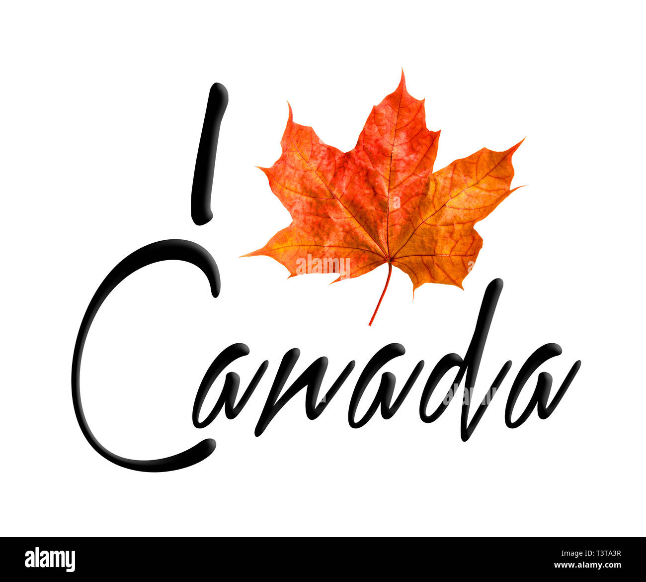 Flower canada Cut Out Stock Images & Pictures - Alamy
