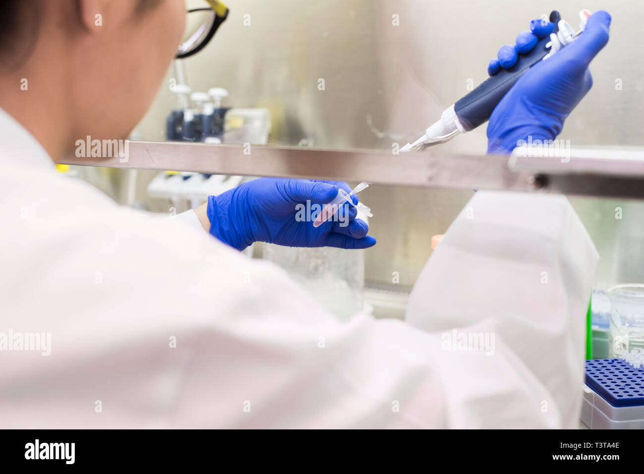 Asian scientist using pipette Stock Photo - Alamy