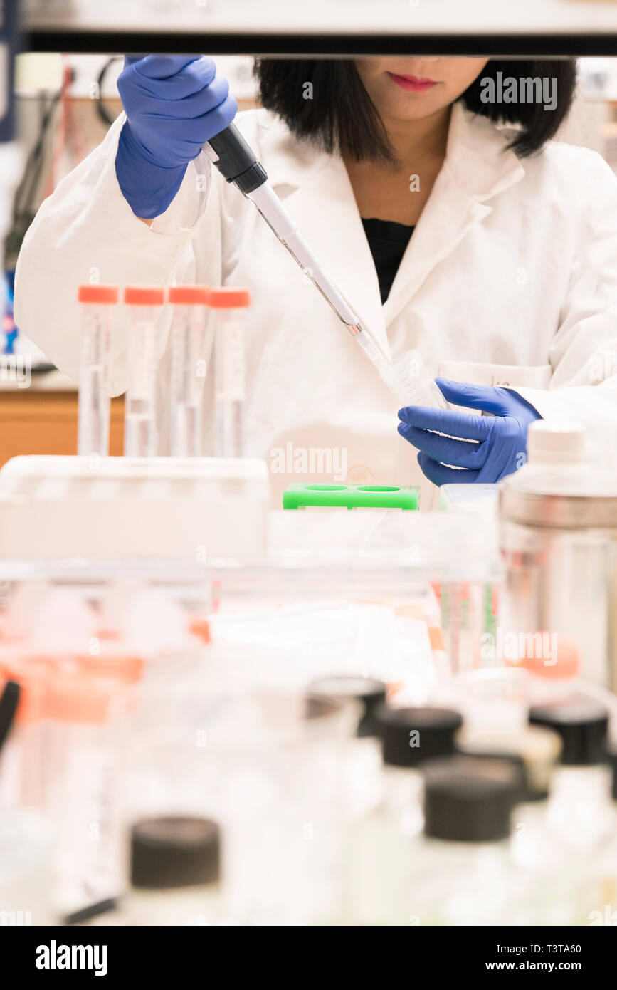 Asian scientist using pipette Stock Photo - Alamy