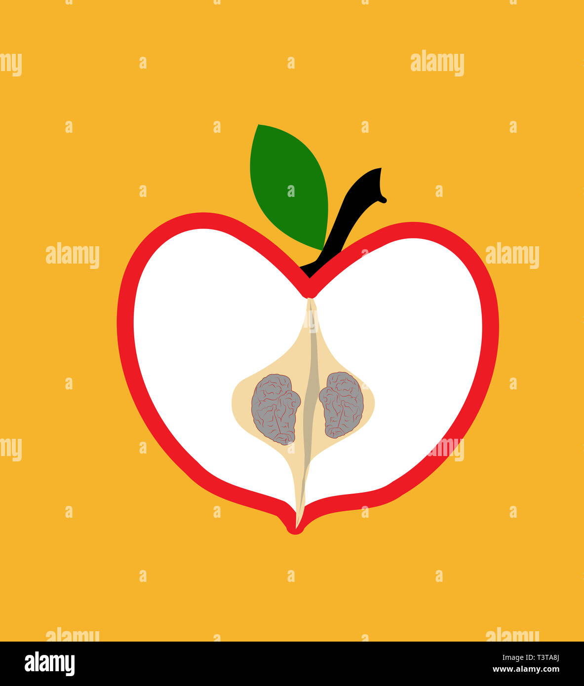 illustration of an apple cut in half with brain seeds Stock Photo - Alamy