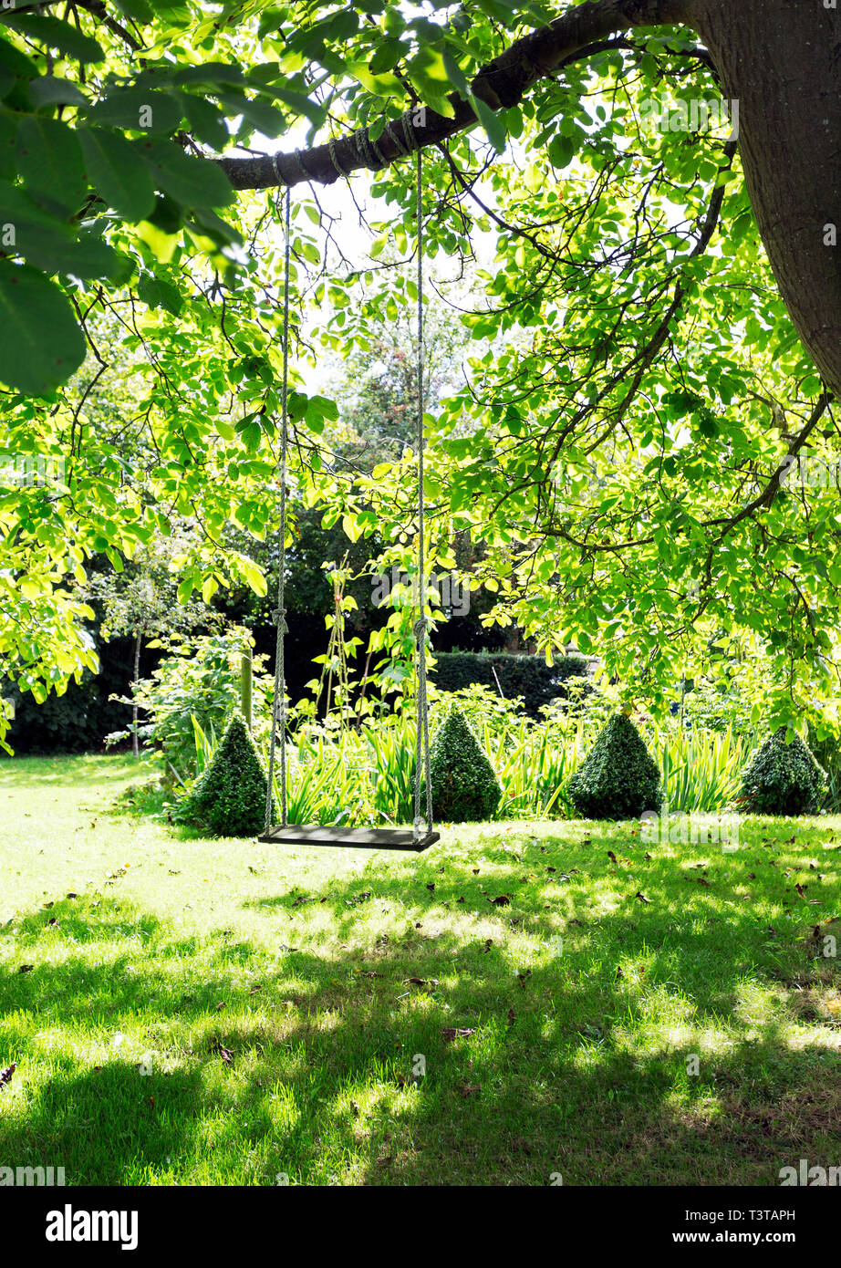 Rope swing hanging from tree branch Stock Photo - Alamy