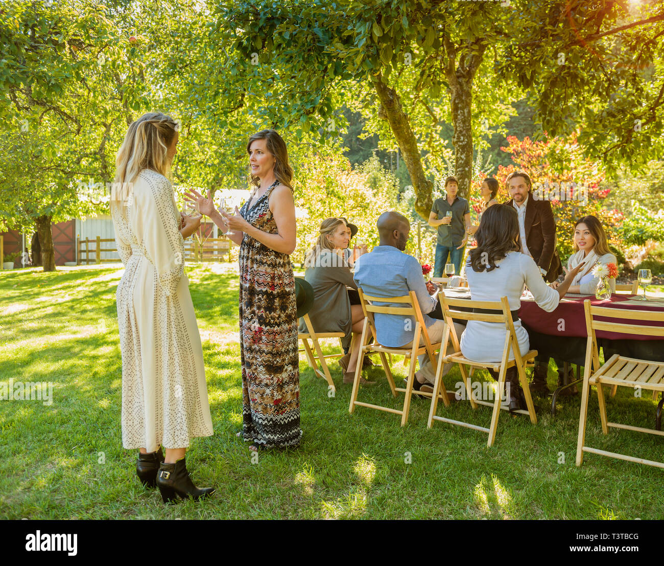 Women standing and talking at party outdoors Stock Photo - Alamy