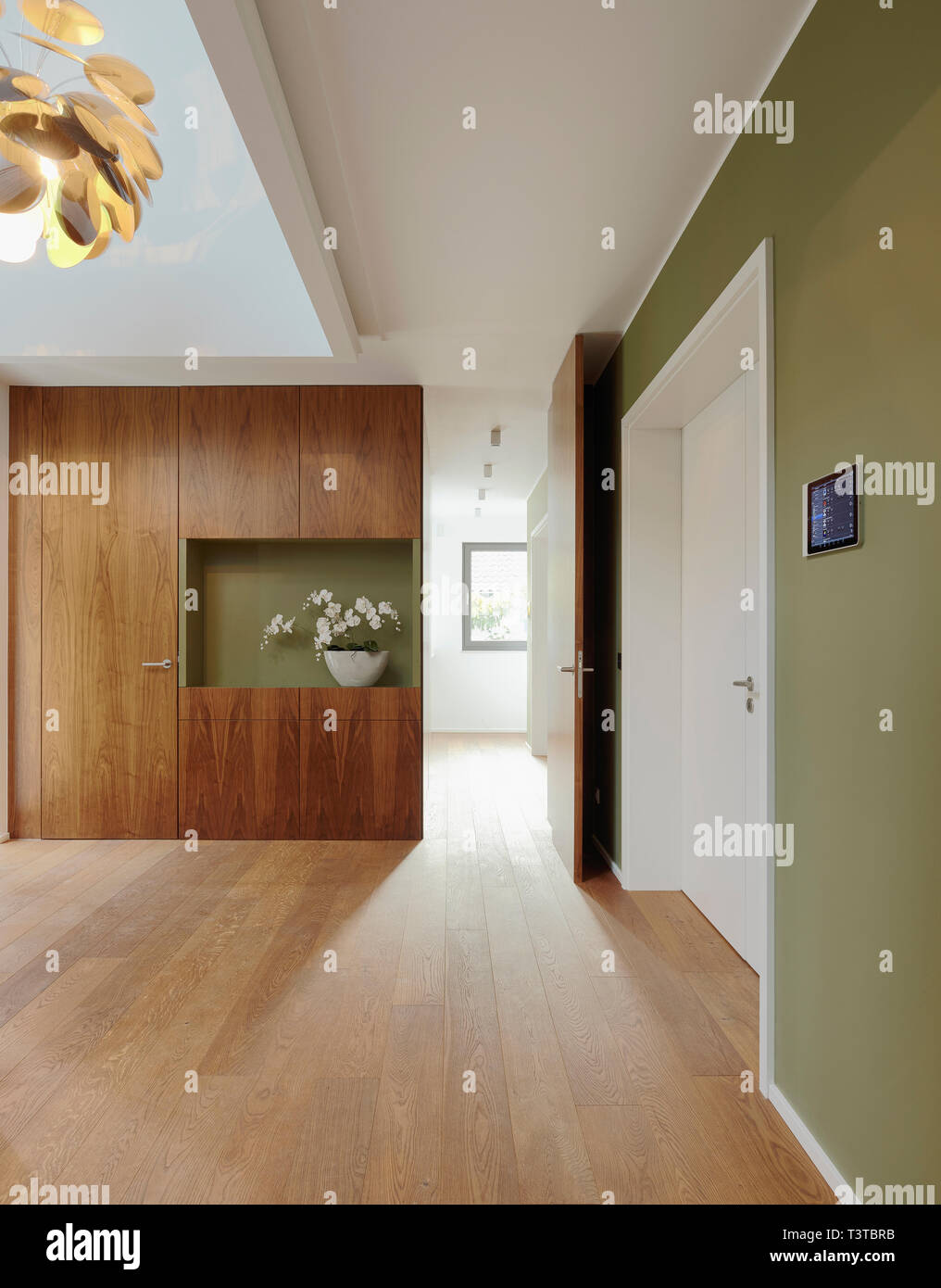 Plank floor and walnut wall covering in home Stock Photo - Alamy