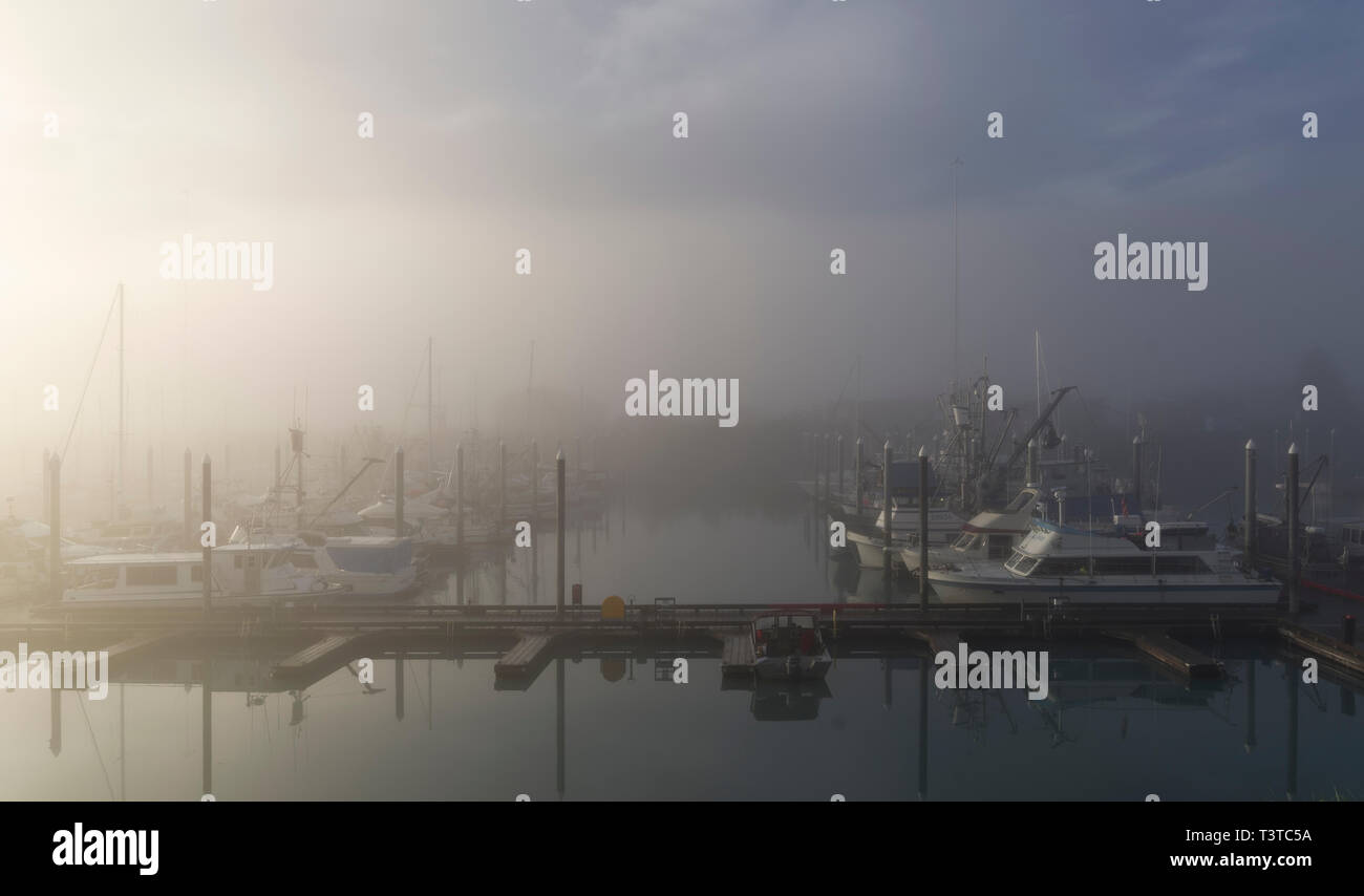 Fog at boat harbor Stock Photo - Alamy