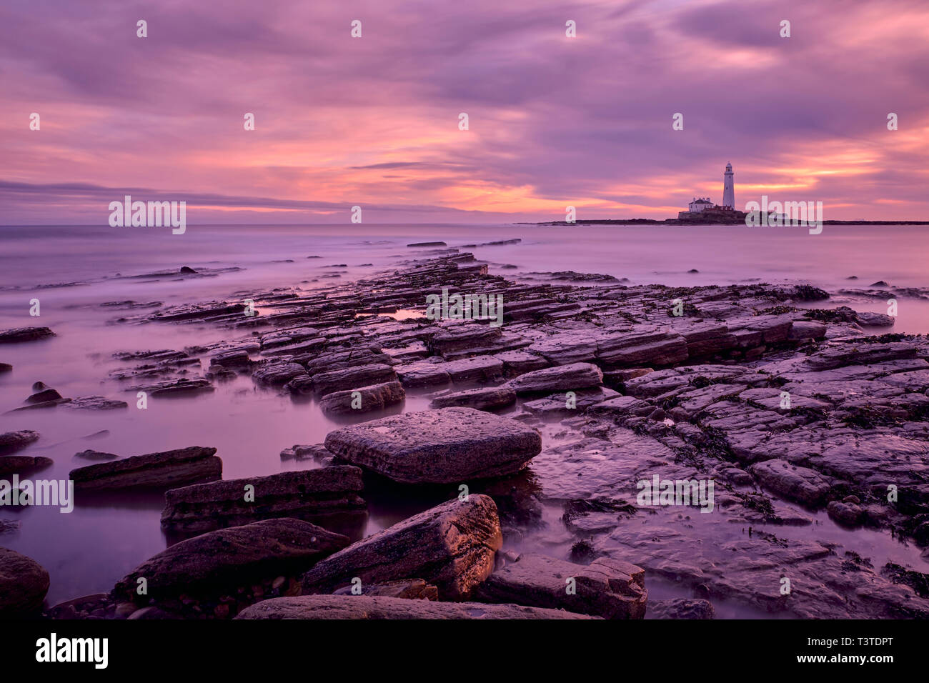 England, Northumberland, Old Hartley. Old Hartley Bay at dawn, looking ...