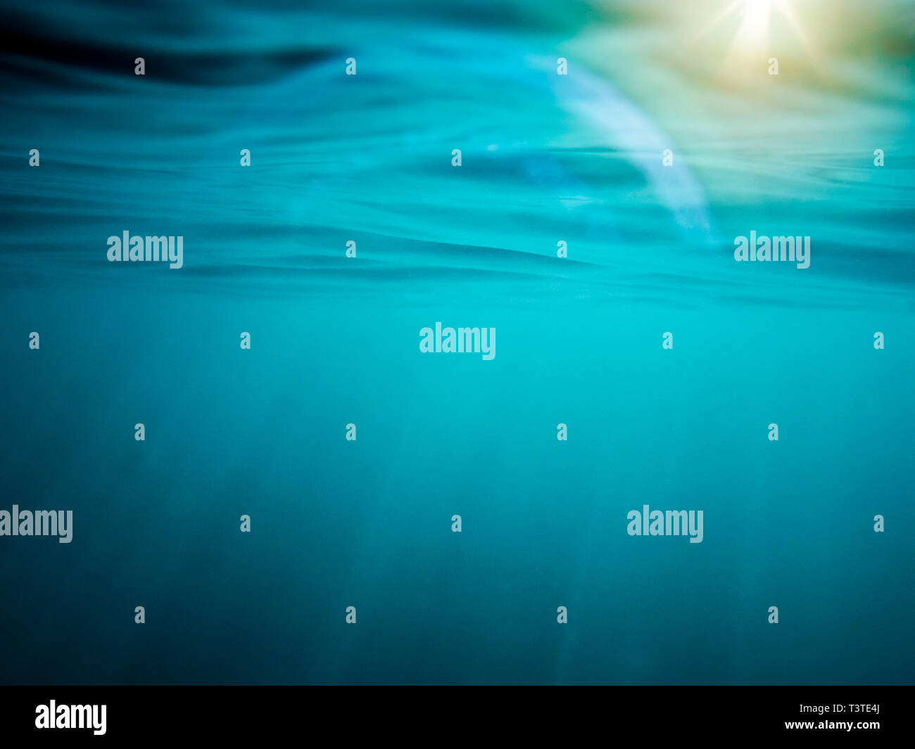 photo of an underwater background with golden sunbeams reflected in the ...