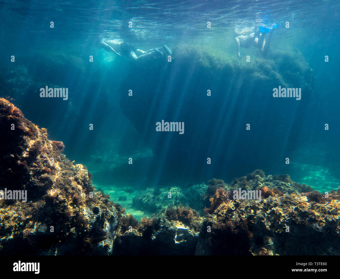 Underwater view man swimming deep hi-res stock photography and images ...
