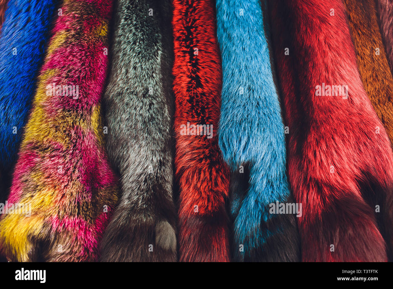 Exotic fluffy rabbit hi-res stock photography and images - Alamy