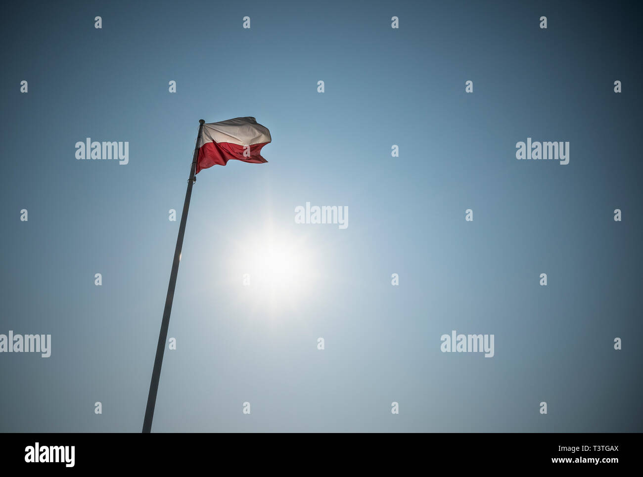 Polish flag union flag hi-res stock photography and images - Alamy