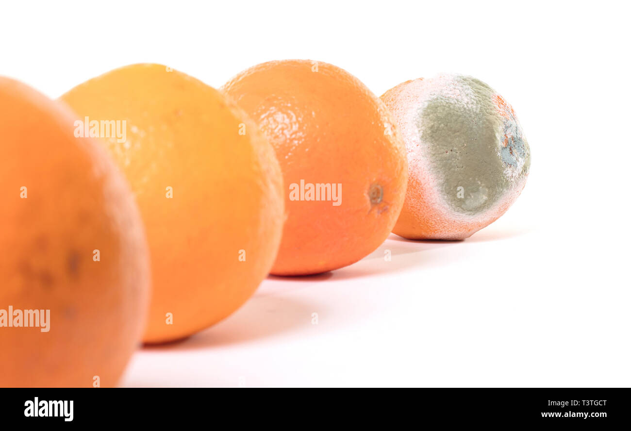 Rotten orange isolated on a white background Stock Photo - Alamy
