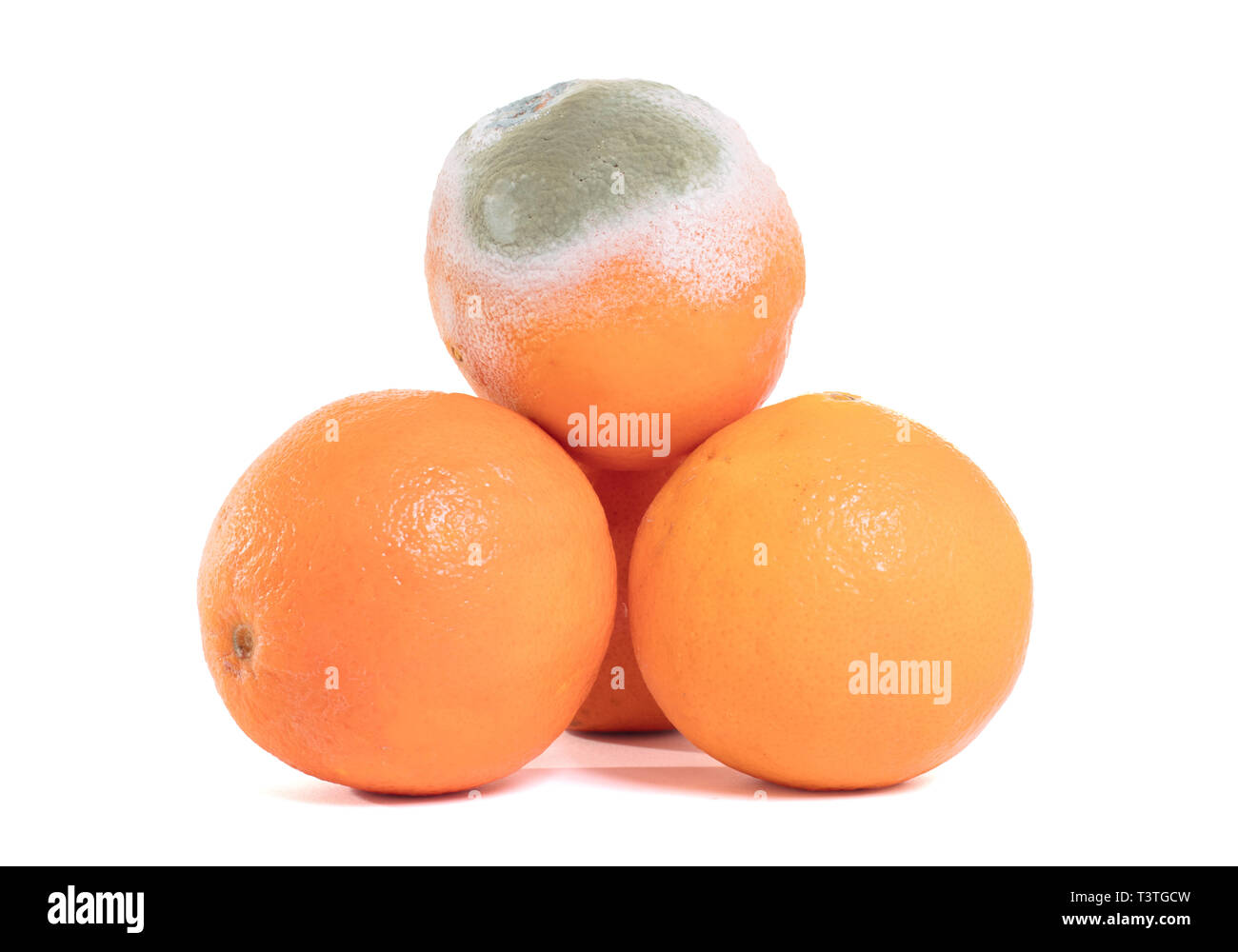 Rotten orange isolated on a white background Stock Photo - Alamy
