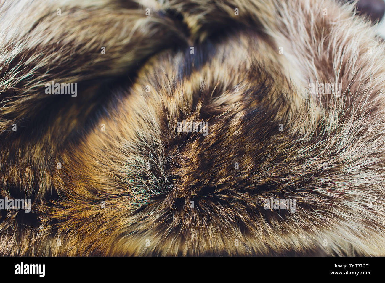 Professional tailor, designer repairing fur coat at atelier, studio ...