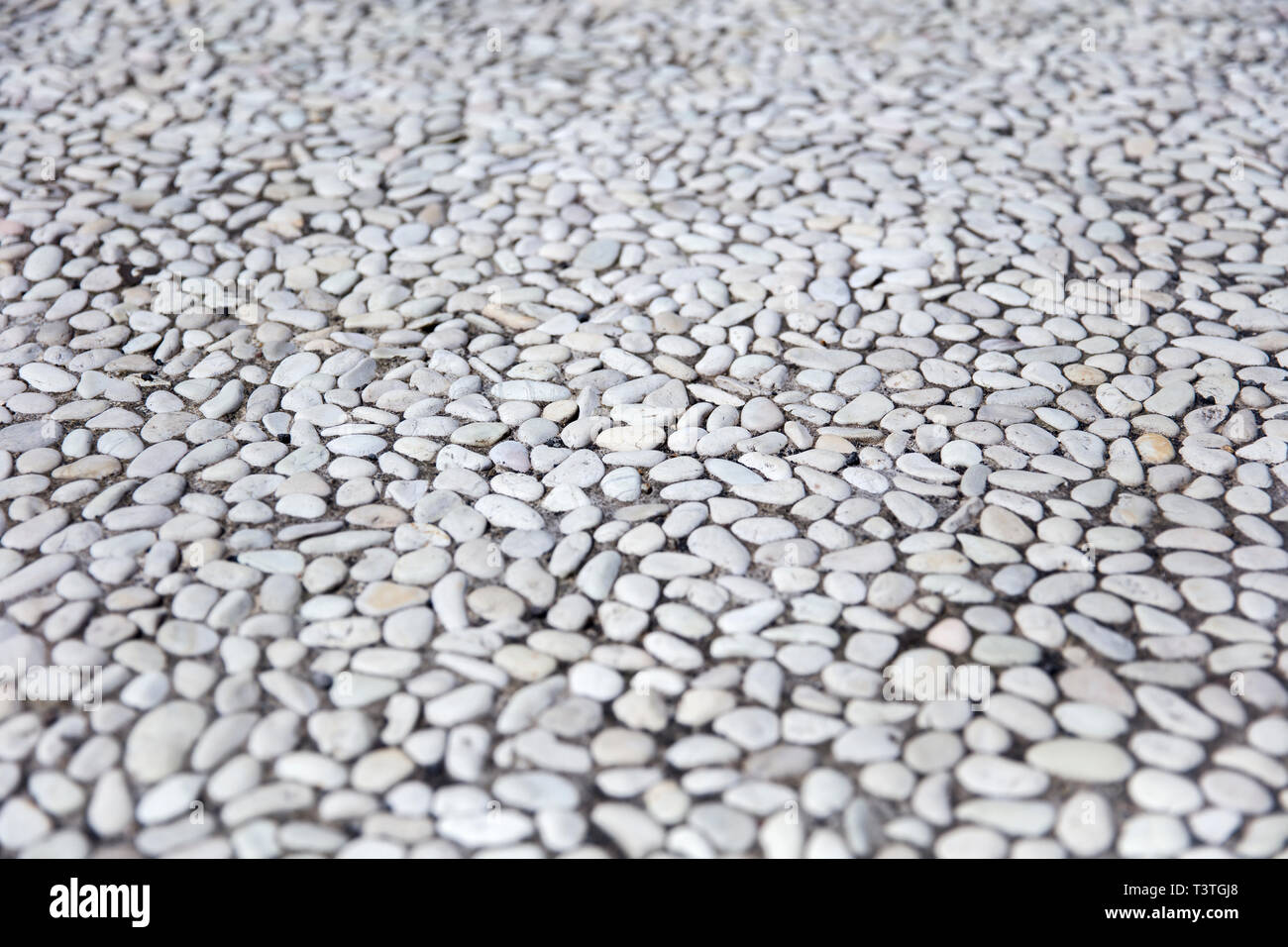Backdrop of small round stones in the concrete wall Stock Photo - Alamy