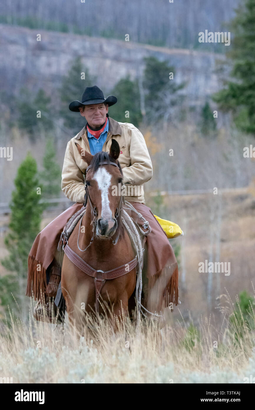 American cowboy in chaps hi-res stock photography and images - Alamy