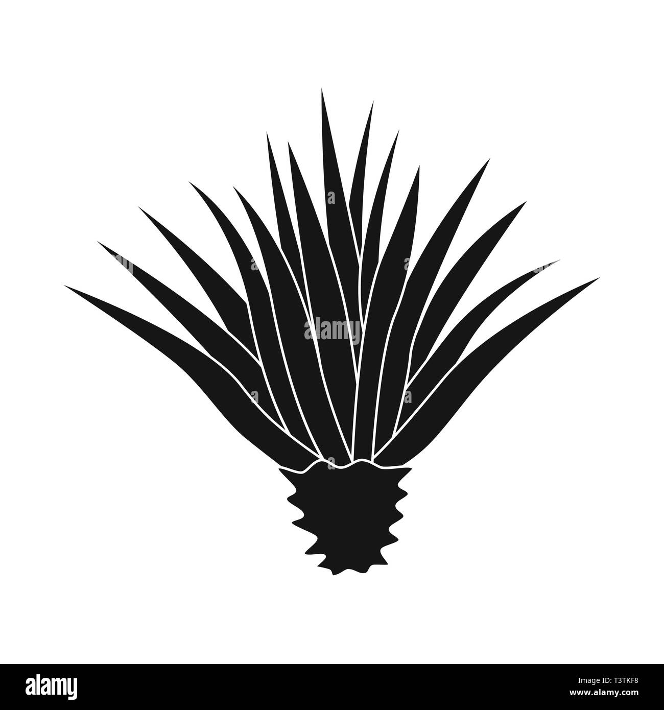 Vector design of agave and plant icon. Collection of agave and cactus ...