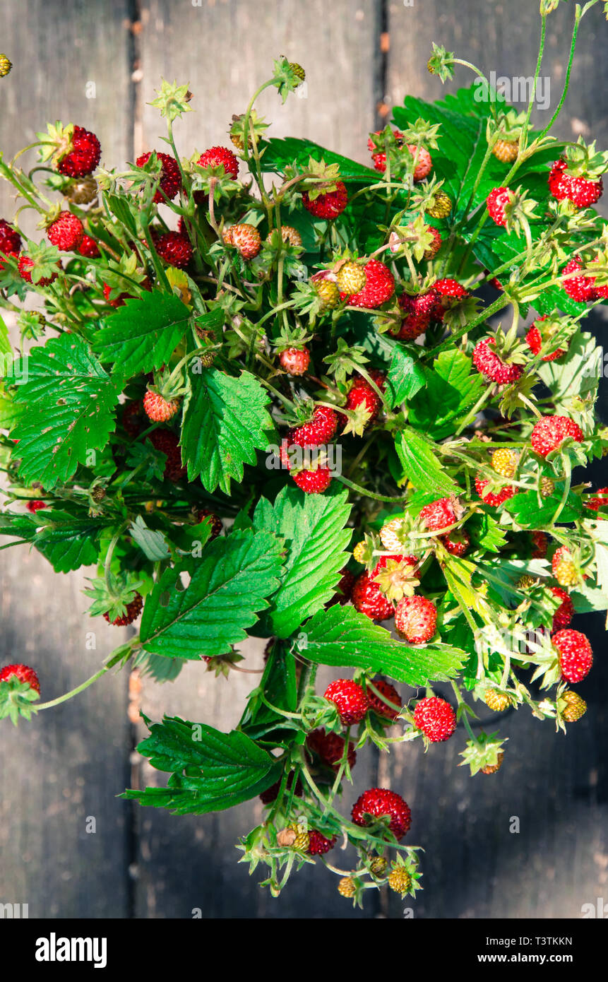 bunch of red wild strawberry with green leaves in a glass Stock Photo ...