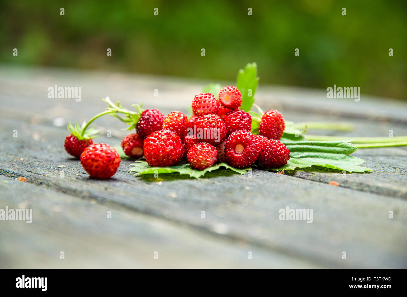 Red wild strawberry hi-res stock photography and images - Alamy
