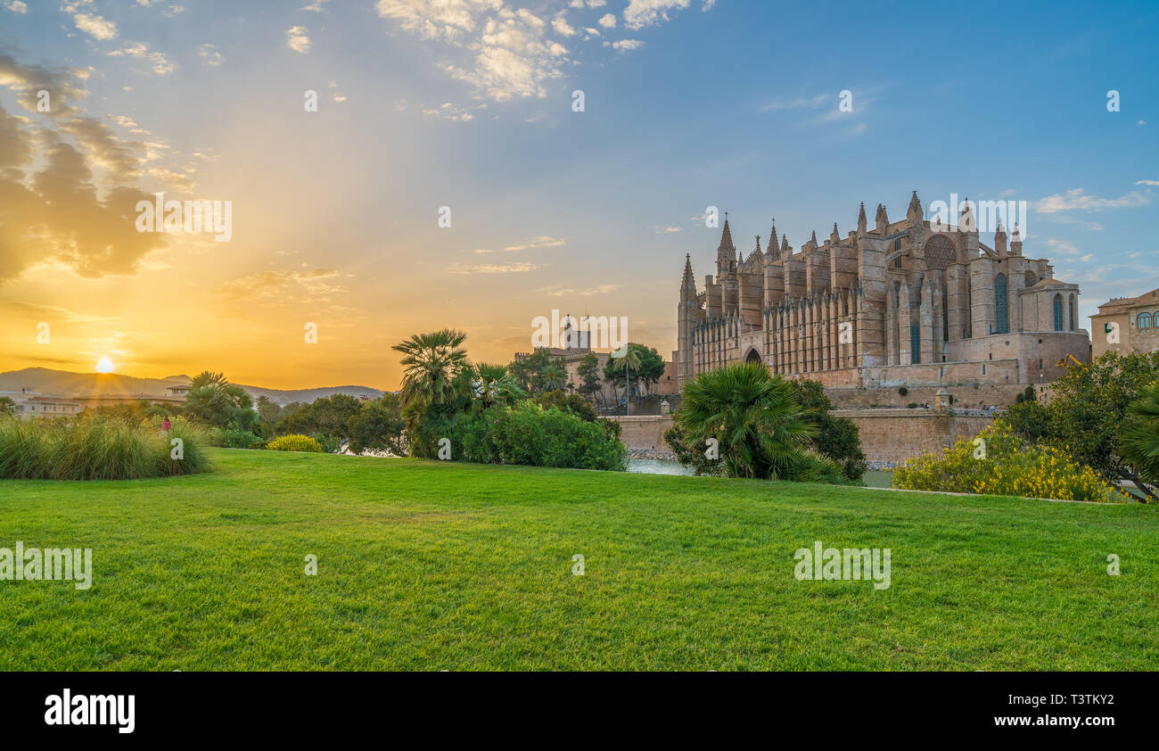 Landscape with Cathedral La Seu at sunset time in Palma de Mallorca ...