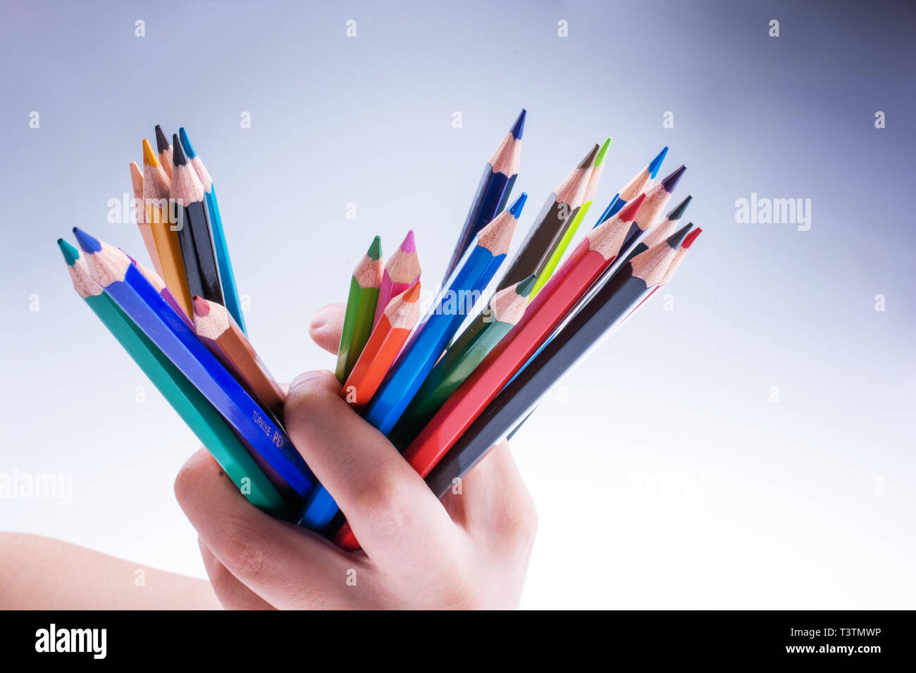 Hand holding color pencils on a white background Stock Photo - Alamy