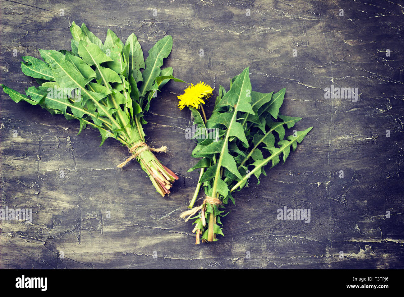 Dandelion lettuce hi-res stock photography and images - Alamy