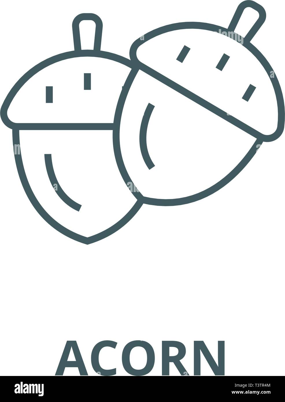 Acorn line icon, vector. Acorn outline sign, concept symbol, flat ...