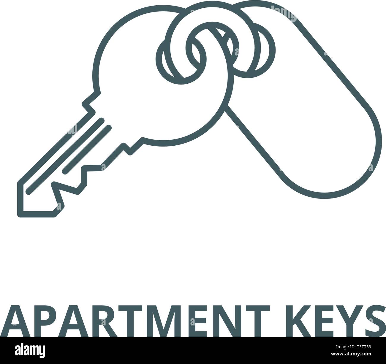 Apartment keys line icon, vector. Apartment keys outline sign, concept ...