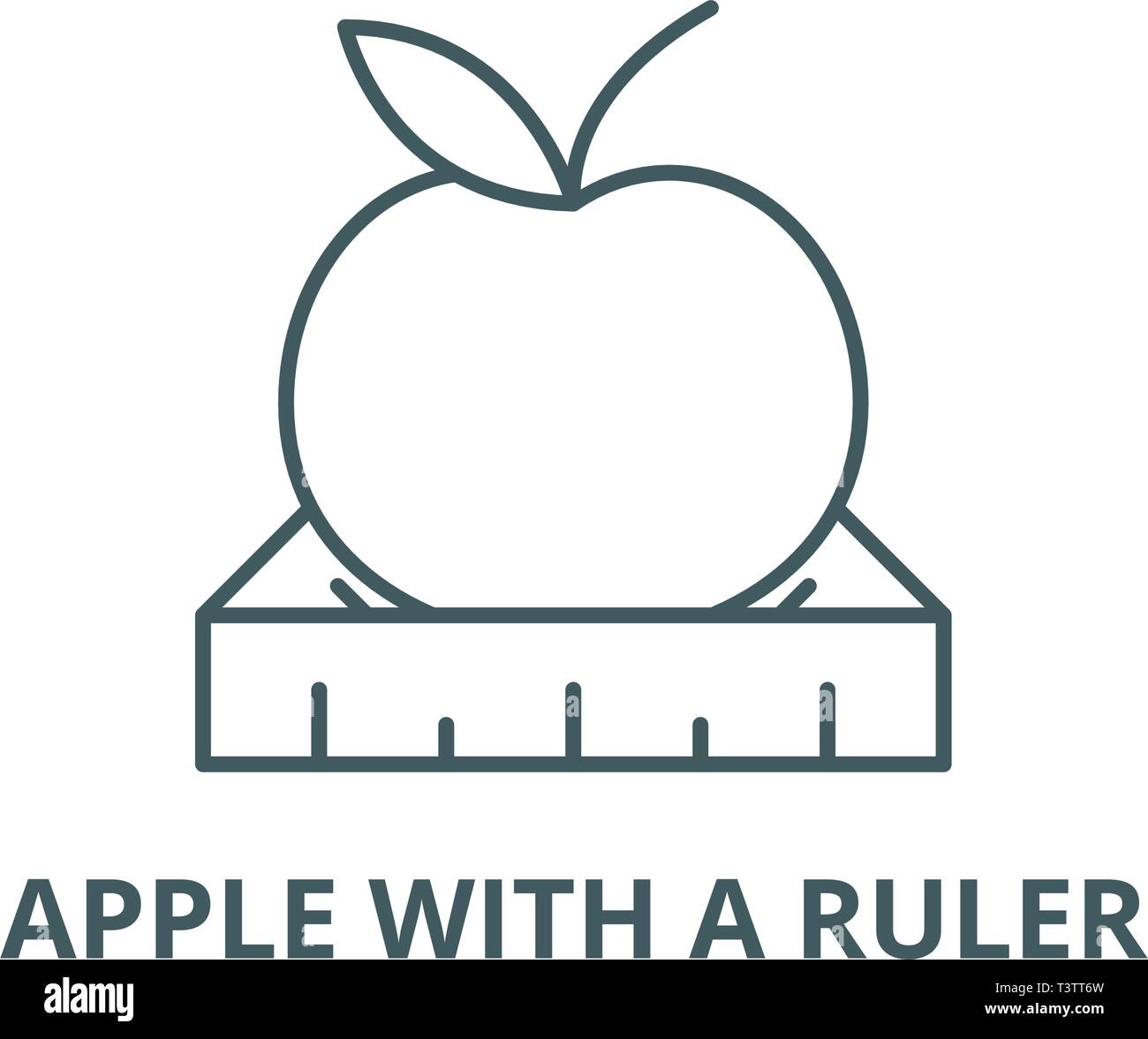 Apple with a ruler line icon, vector. Apple with a ruler outline sign ...