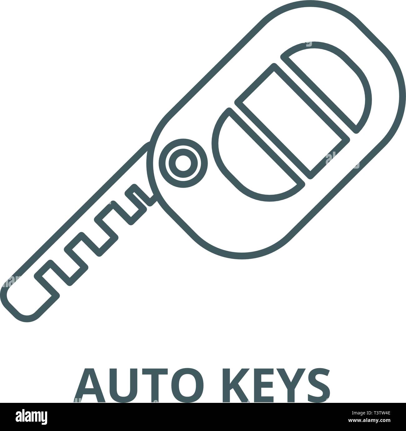 Auto keys line icon, vector. Auto keys outline sign, concept symbol ...