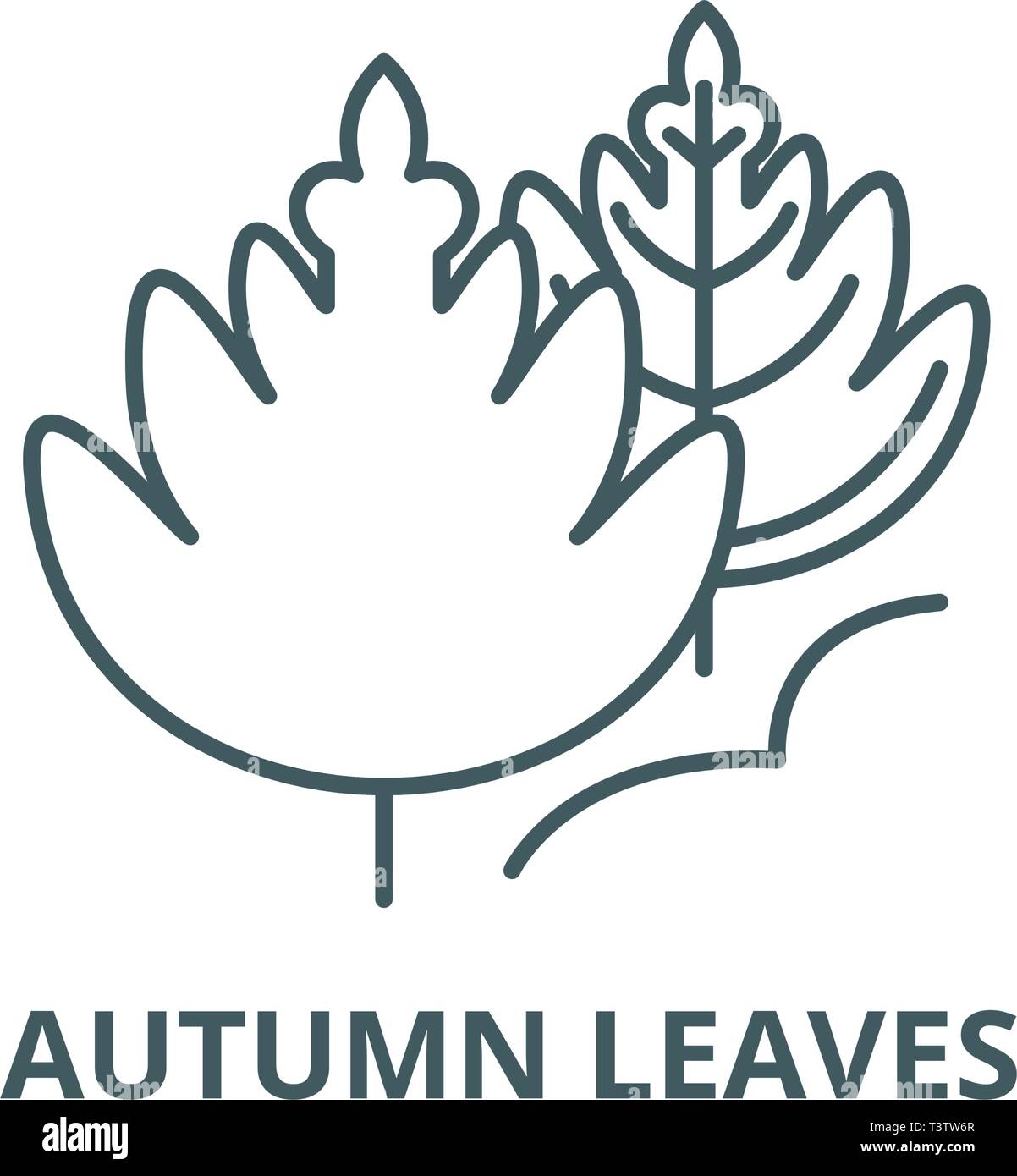 Autumn leaves line icon, vector. Autumn leaves outline sign, concept ...
