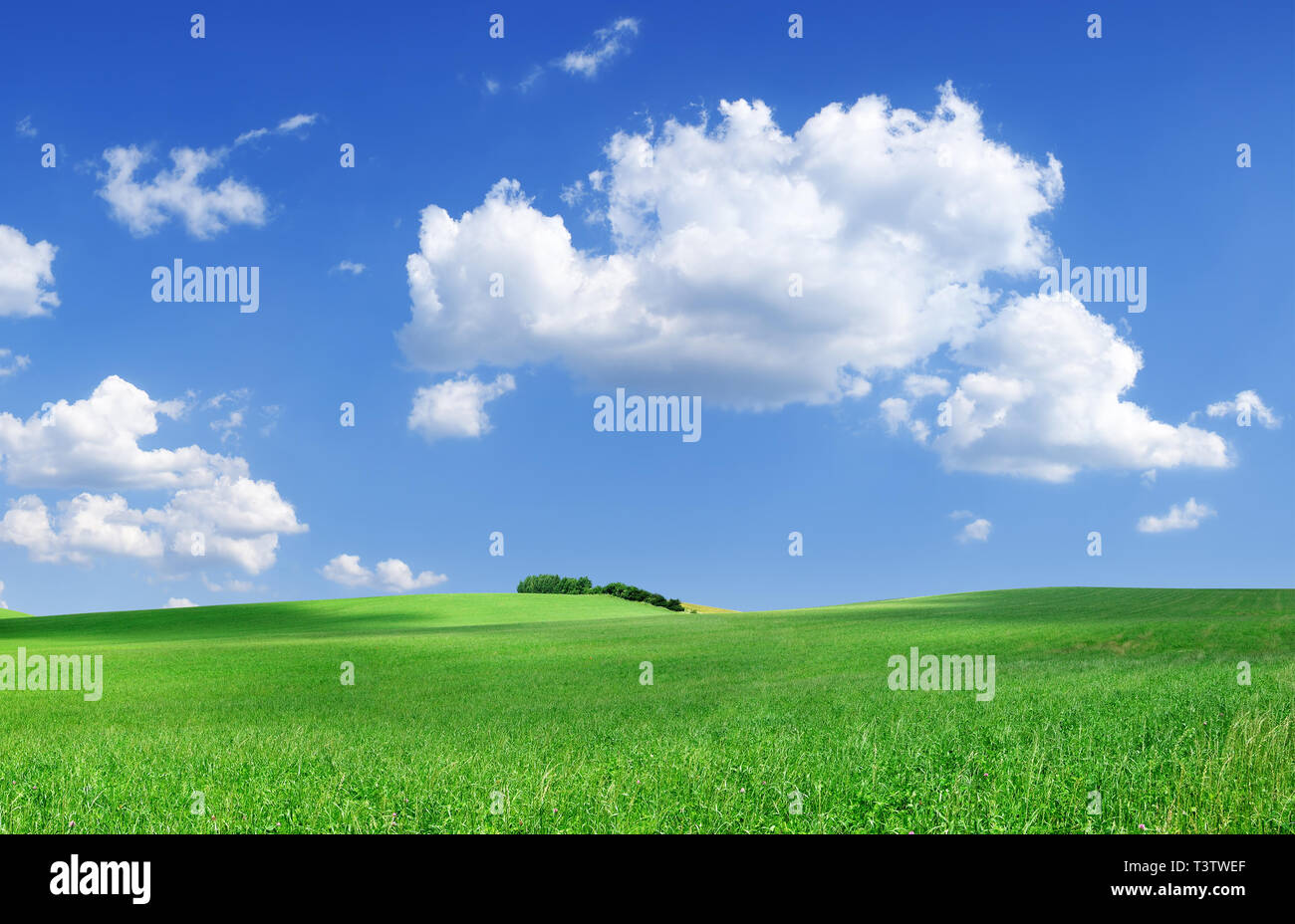 Idyllic grassland, spring landscape, rolling green fields, blue sky and ...