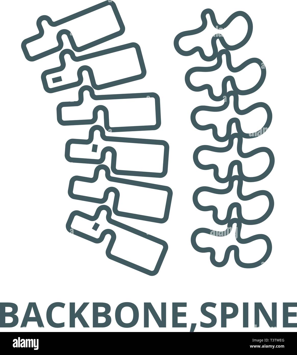 Backbone,spine line icon, vector. Backbone,spine outline sign, concept ... Backbone,spine line icon, vector. Backbone,spine outline sign, concept ...