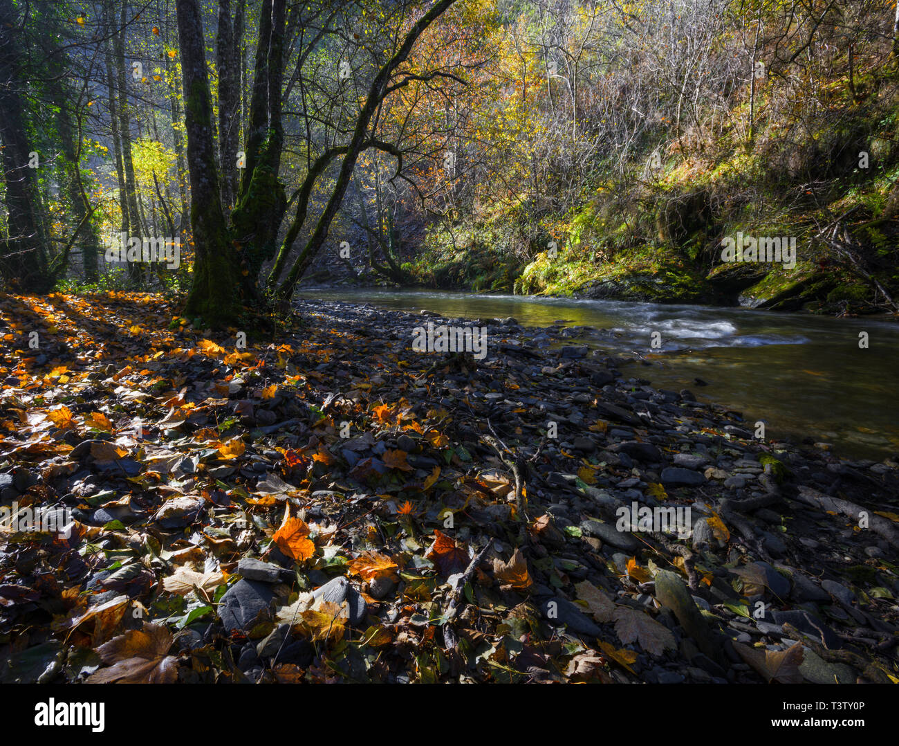 Traverse motion hi-res stock photography and images - Alamy