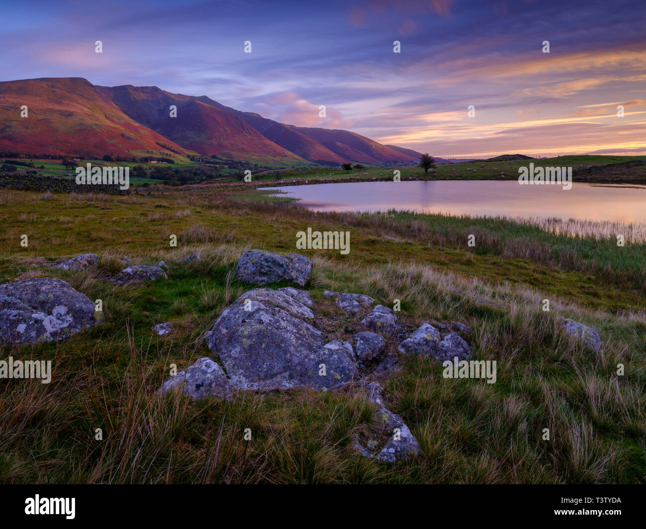 Tewit tarn hi-res stock photography and images - Alamy