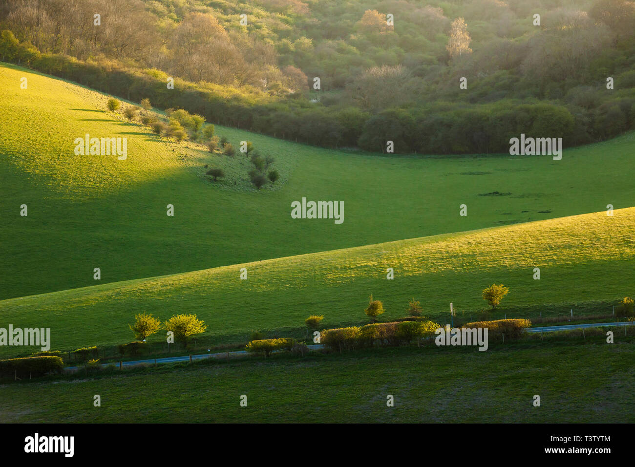 Spring evening on the South Downs in West Sussex, England Stock Photo ...
