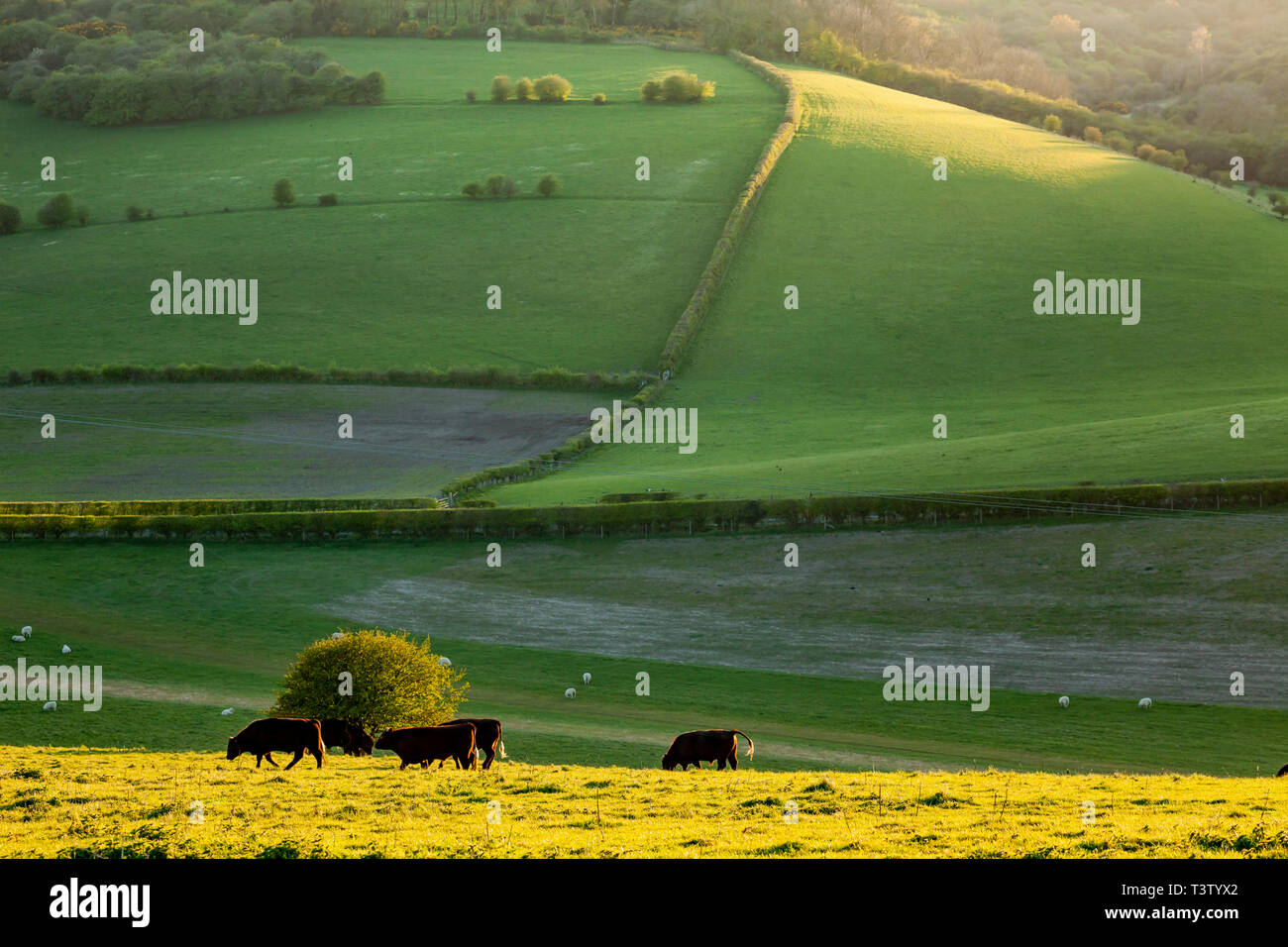 South west england landscape hi-res stock photography and images - Alamy