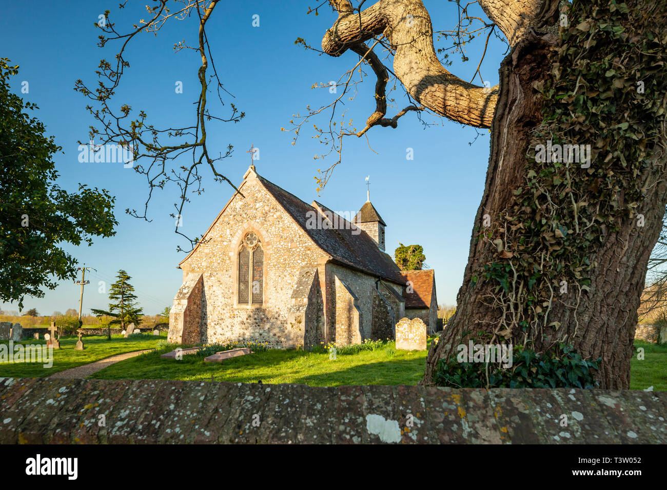 Spring morning at St Mary's church in Binsted village, West Sussex ...