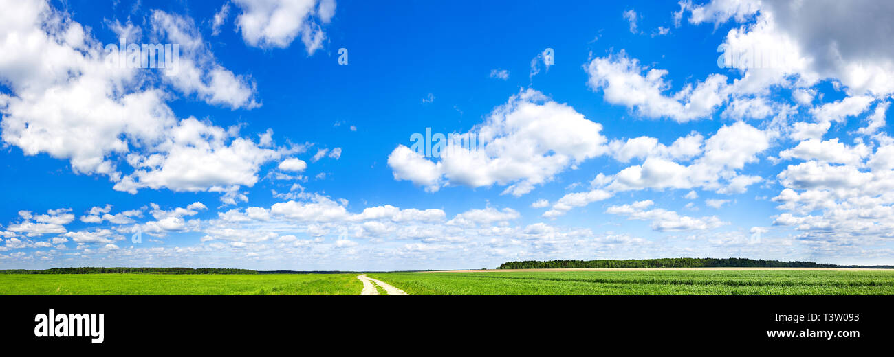 beautiful rural spring landscape with blue sky,white clouds and field ...