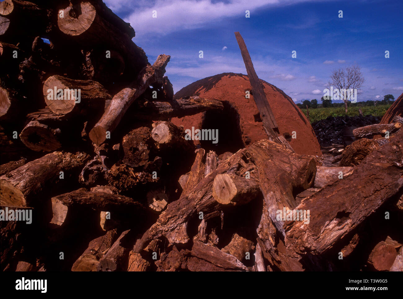 Cerrado deforestation hi-res stock photography and images - Alamy