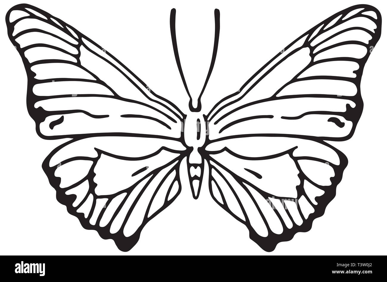 Flying Butterfly Outline Clip Art