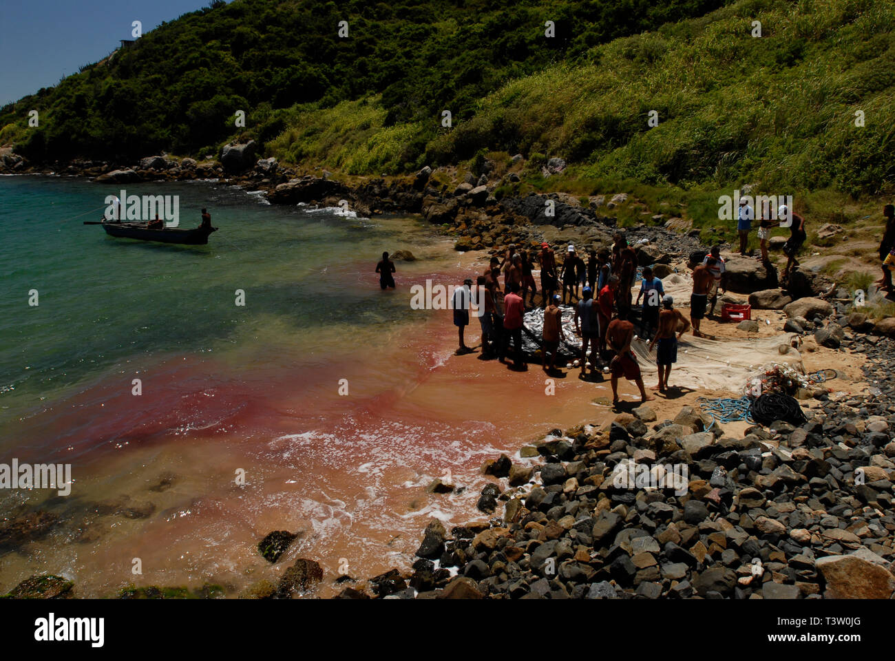 Blood in water hi-res stock photography and images - Alamy