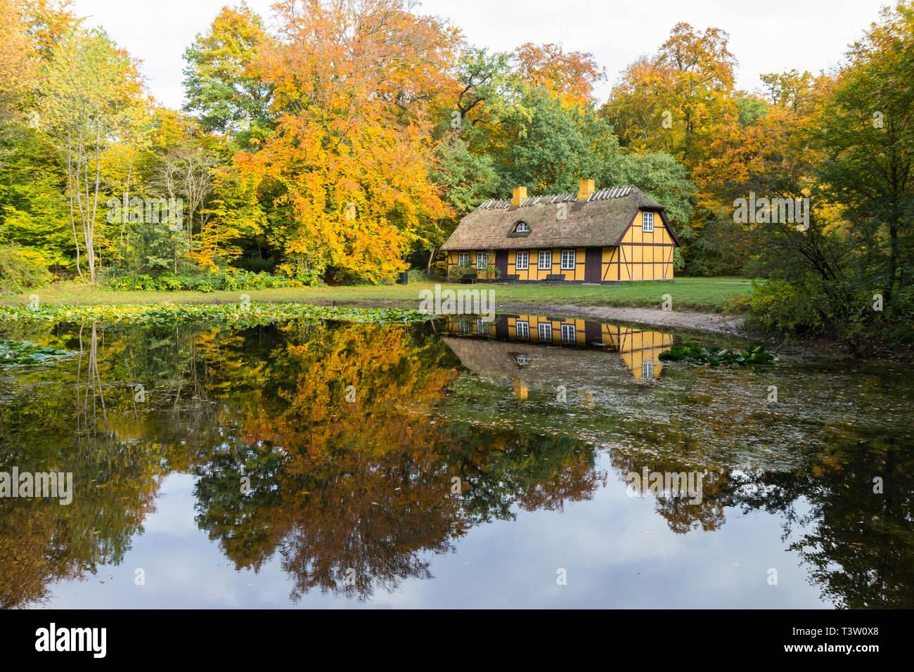 Old yellow half timbered house with thatched roof in Charlottenlund ...