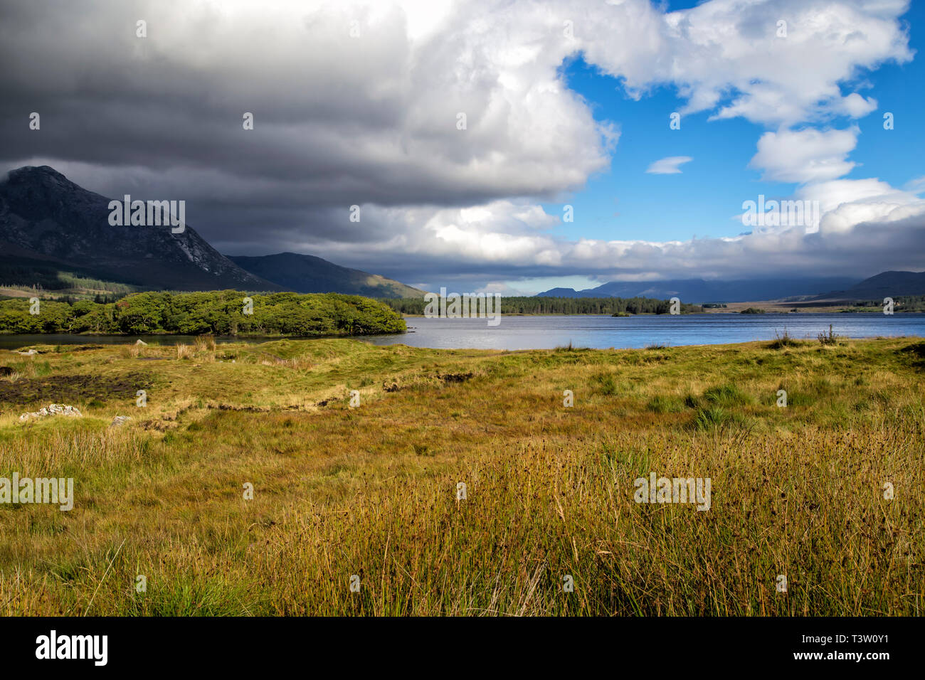 Original natural grass hi-res stock photography and images - Alamy