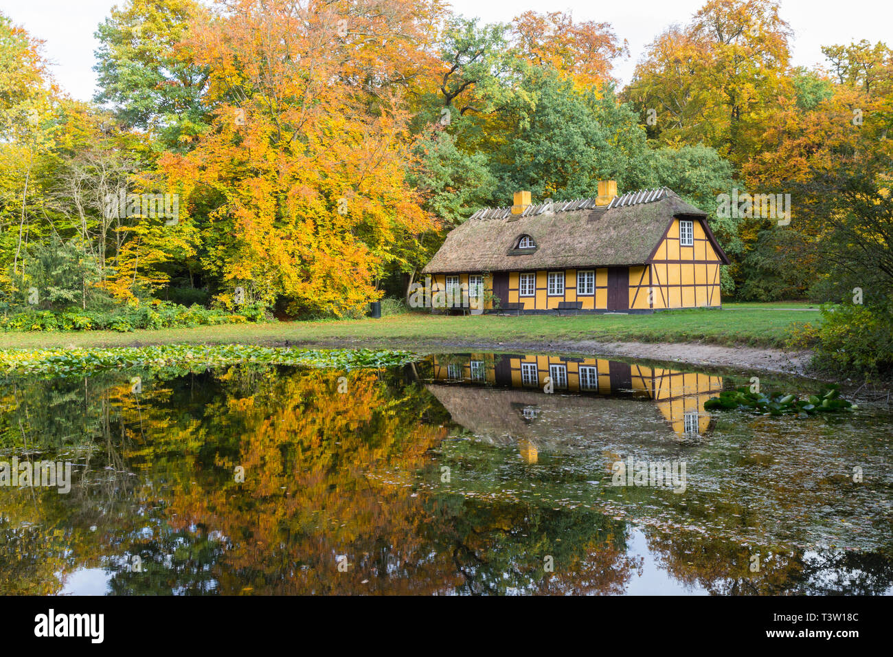 Old yellow half timbered house with thatched roof in Charlottenlund ...