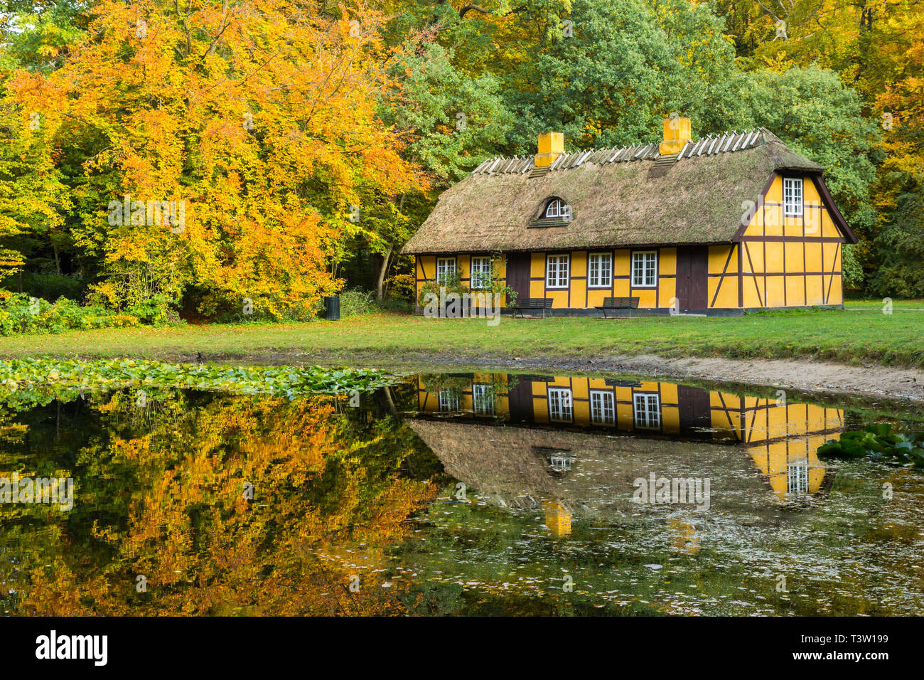 Old yellow half timbered house with thatched roof in Charlottenlund ...