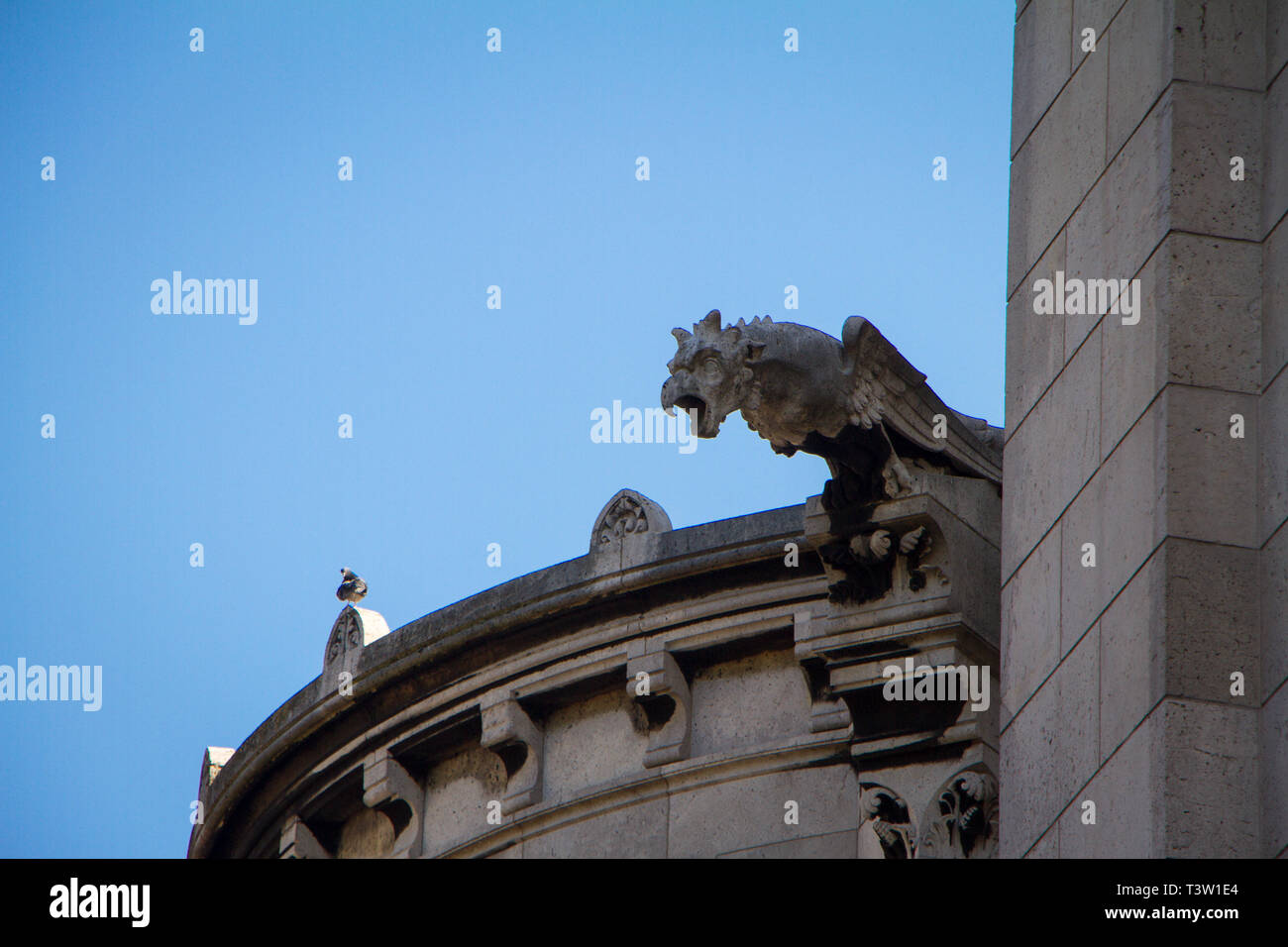 Details of an old Catholic cathedral, gargoyles, chimeras, arches ...
