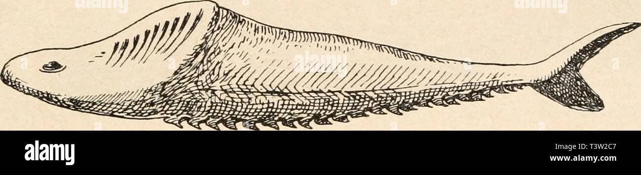 Die unterklasse hi-res stock photography and images - Alamy